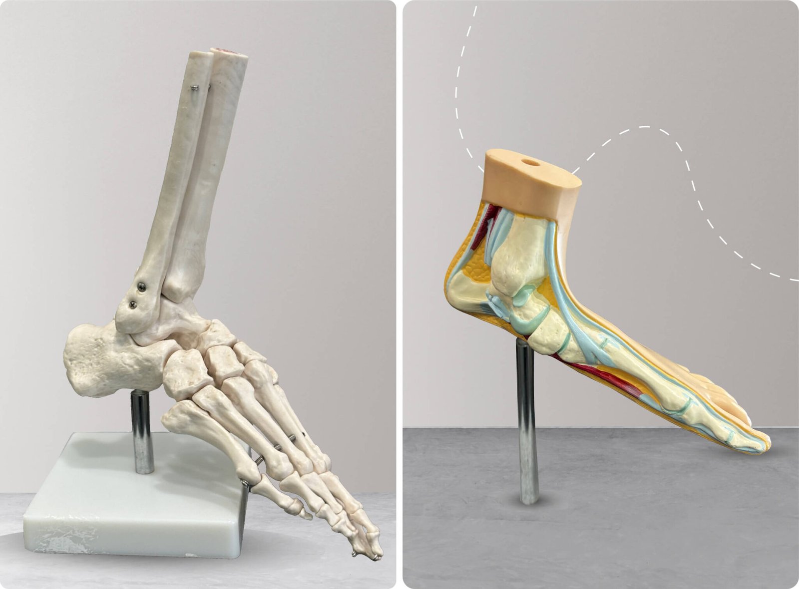 Step Into Podiatry | Your Local Perth Podiatrist